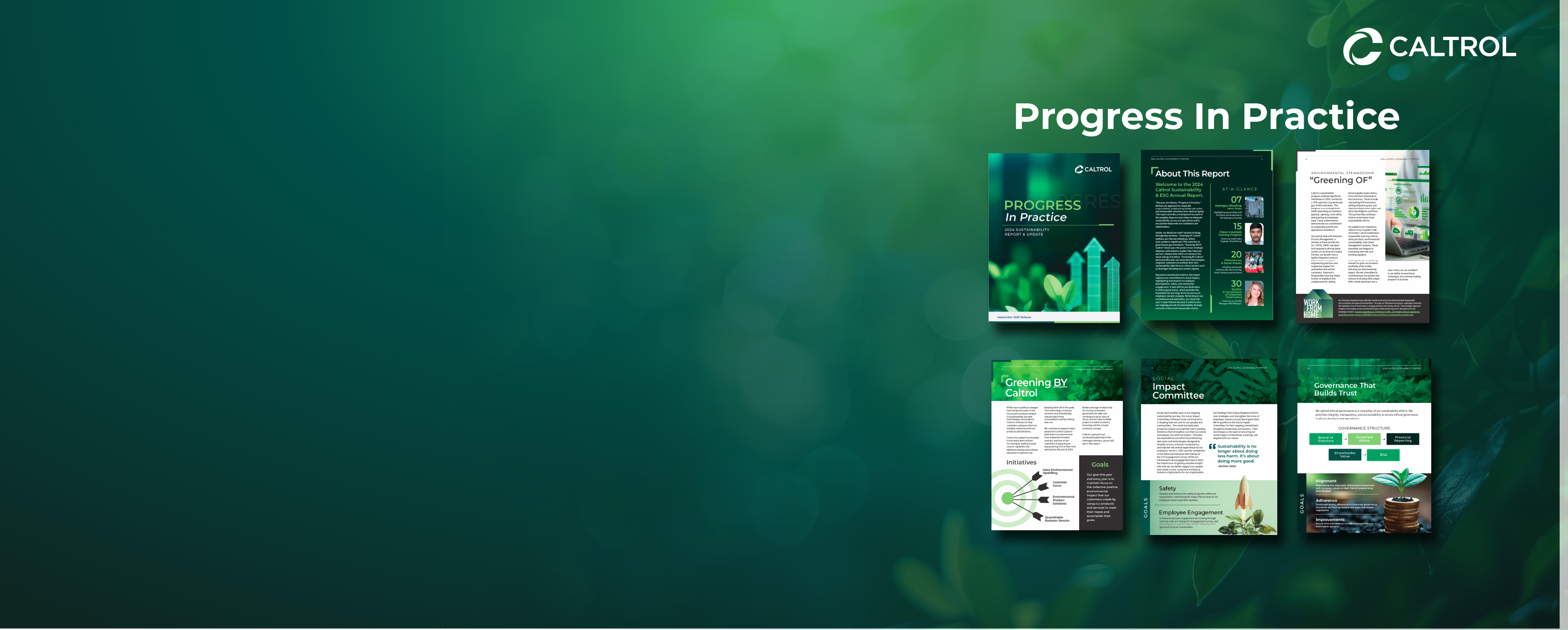 Process Controls systems, DeltaV, Fisher Valves, Bettis Valves ...