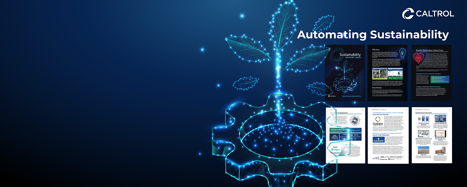 Process Controls systems, DeltaV, Fisher Valves, Bettis Valves ...